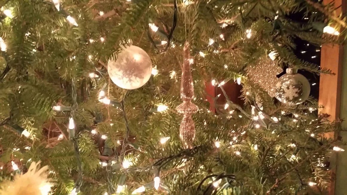 Your Guide to Evergreen Christmas Trees